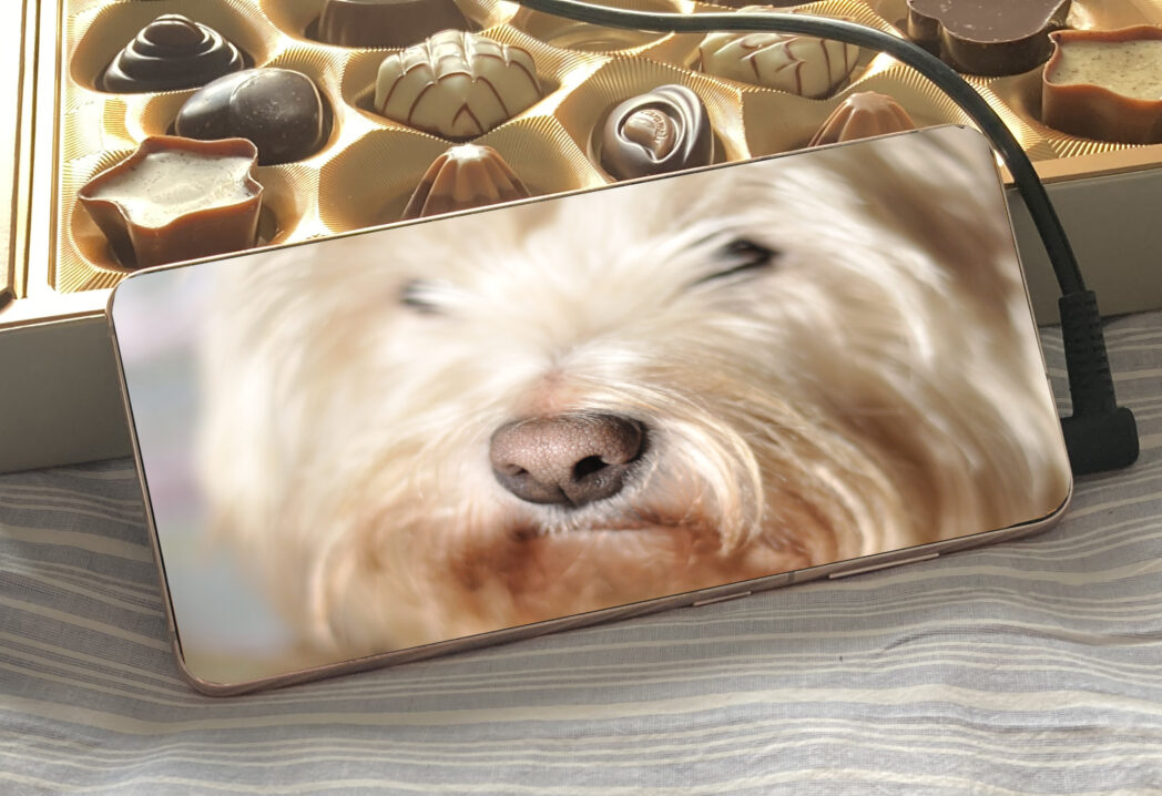 Kodak Disc Film Scanning Service - Supaphoto - No1 for Value